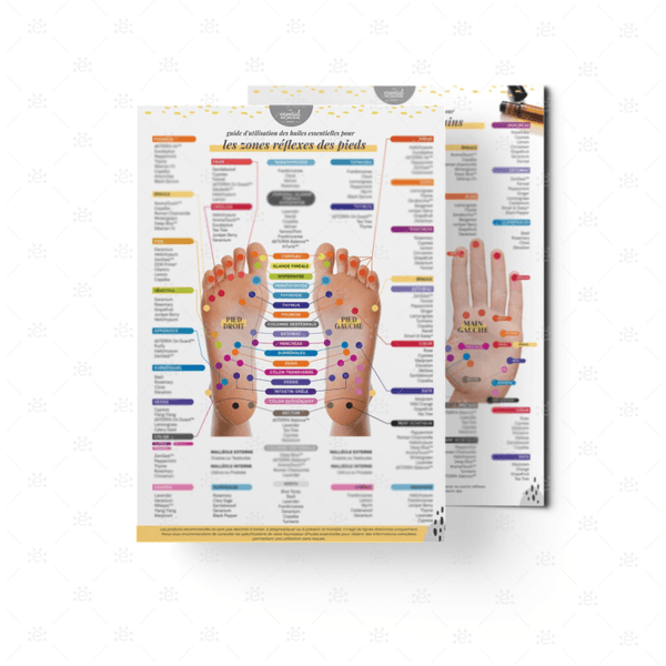 Oil Use Guide for Reflex Points (Foot & Hand) - FRENCH - Essential Oil ...